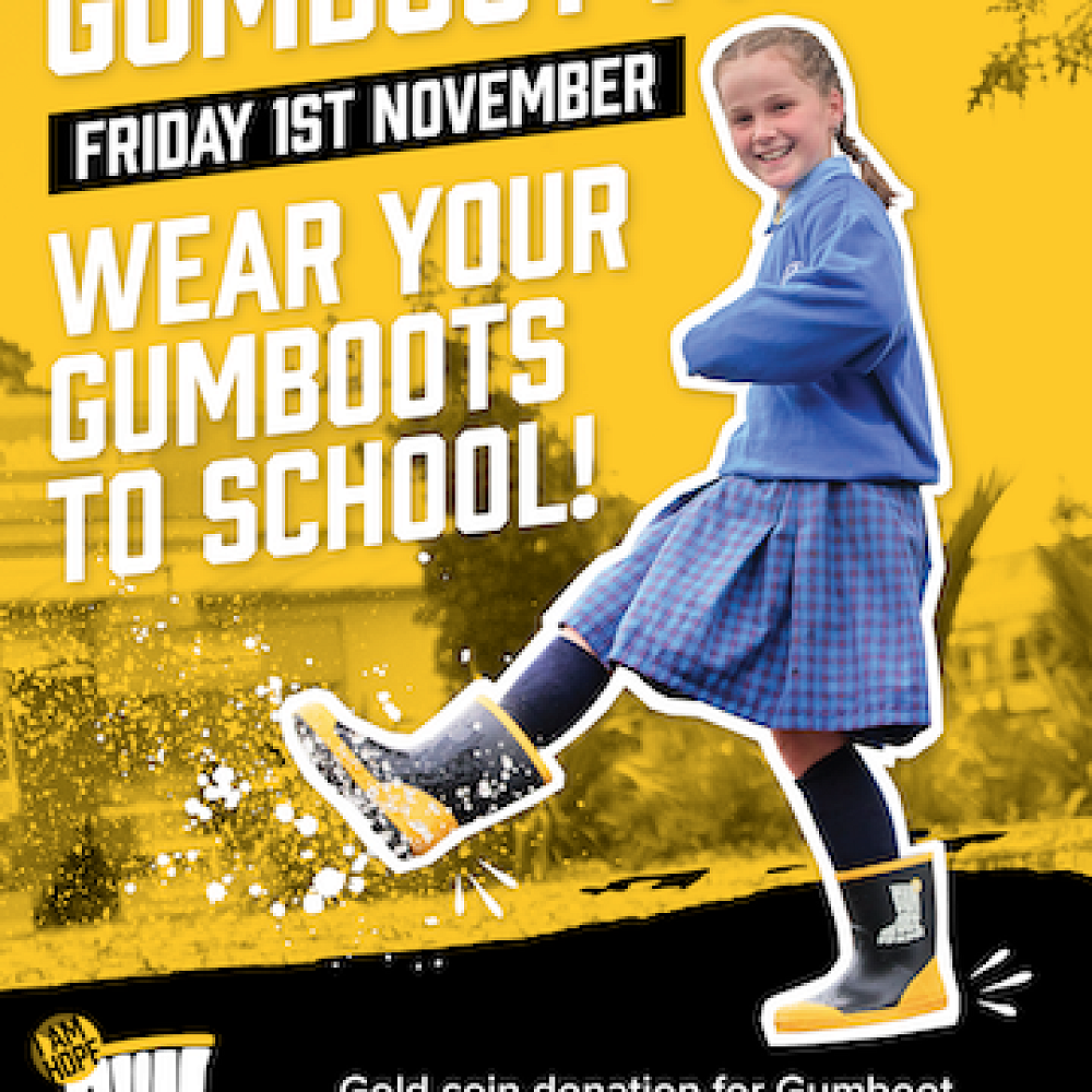 Gumboot Friday - 1 November