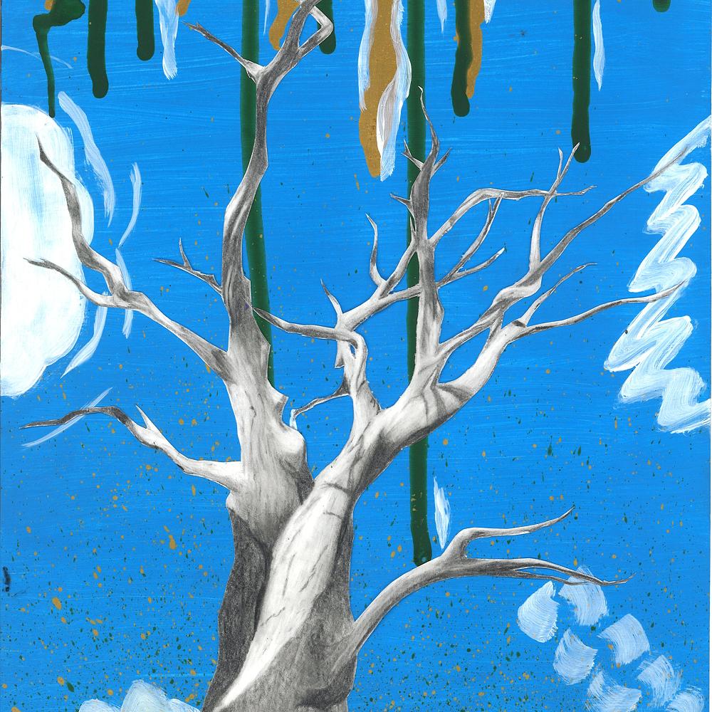 Emily Oakes, Yr 10 — Waitaki News,Week 7