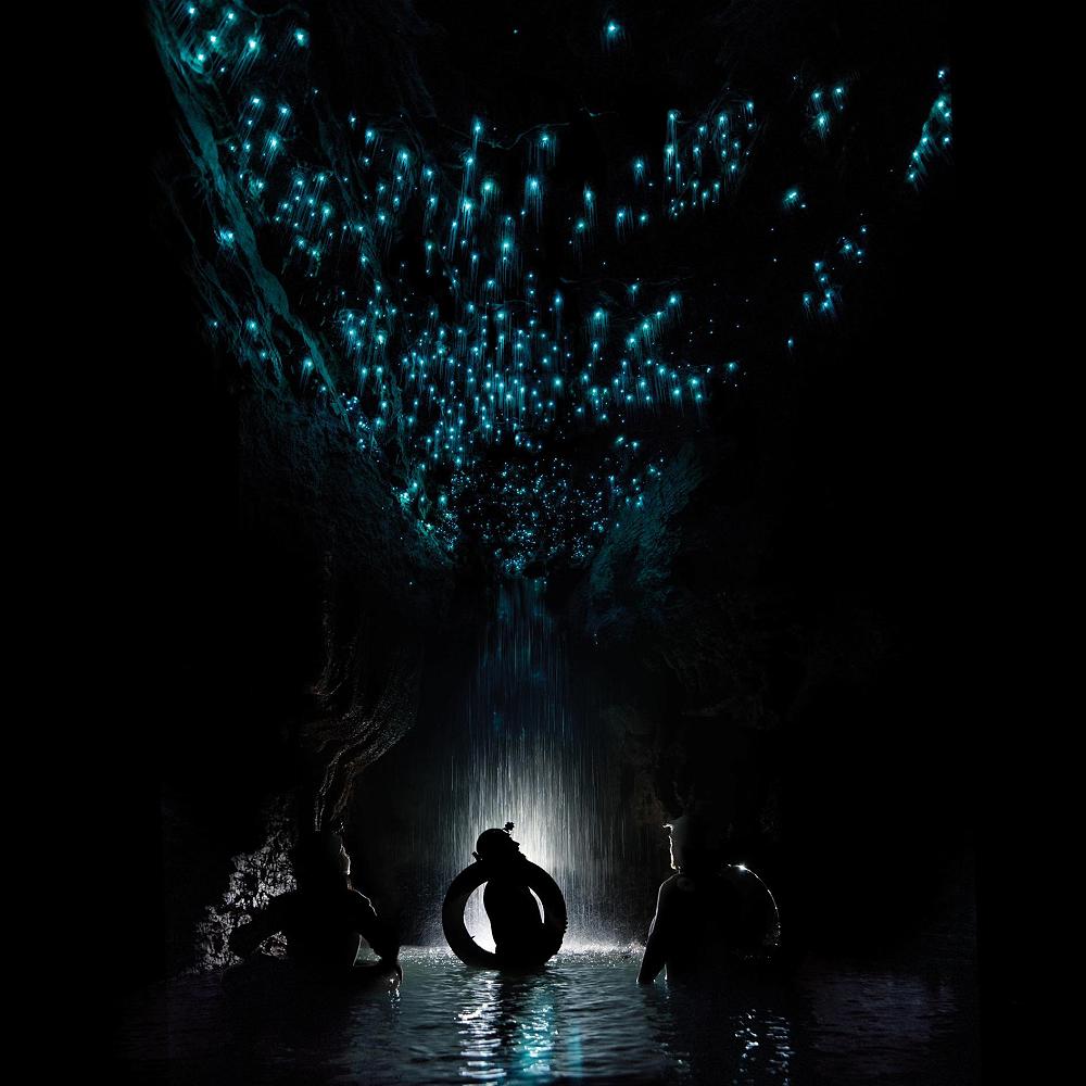 A Wild Day Out with Our International Students