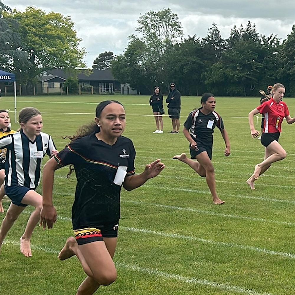 Week 7 Newsletter, Term 4 2024