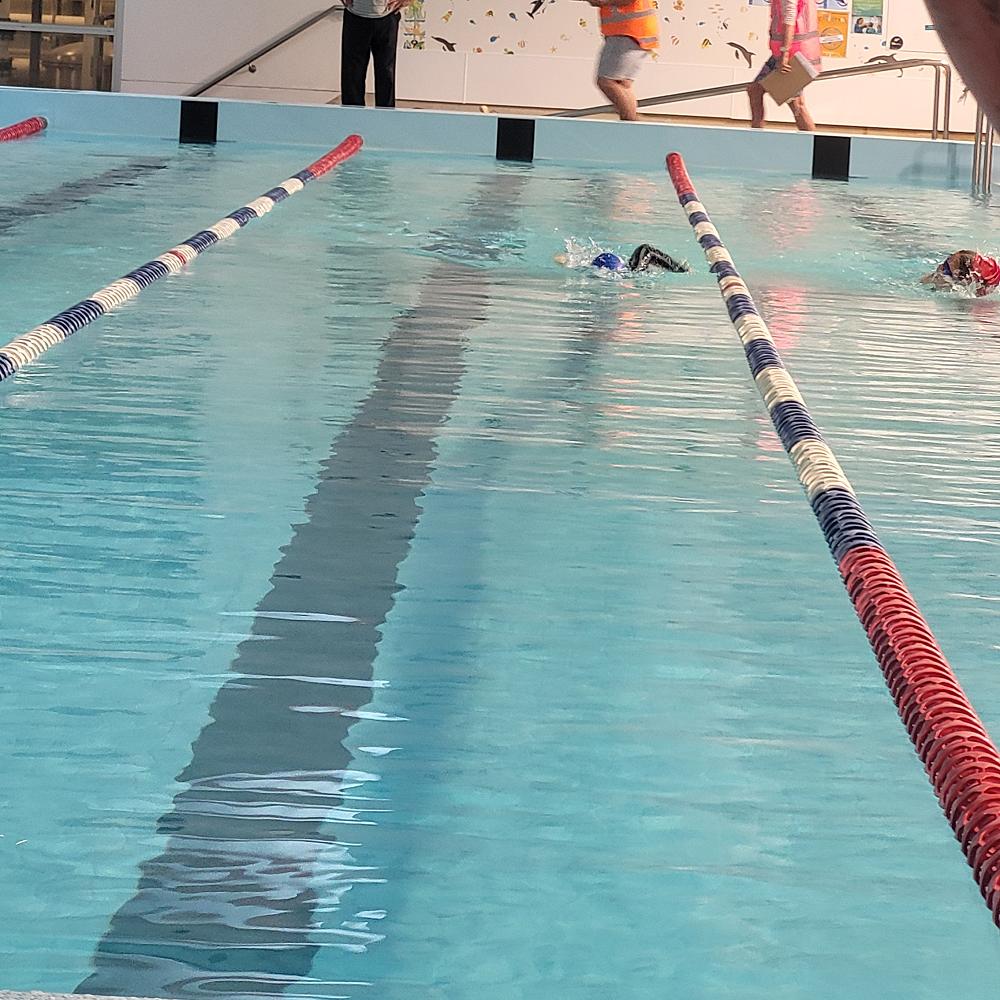 North Zone Swimming Championship — Sport