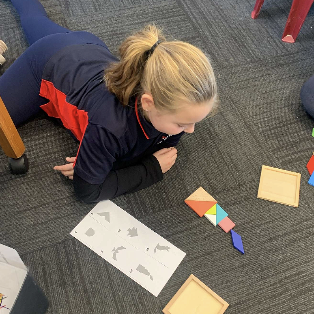 Shapes! — Week 6, Term 3, 2024 Pānui - Newsletter