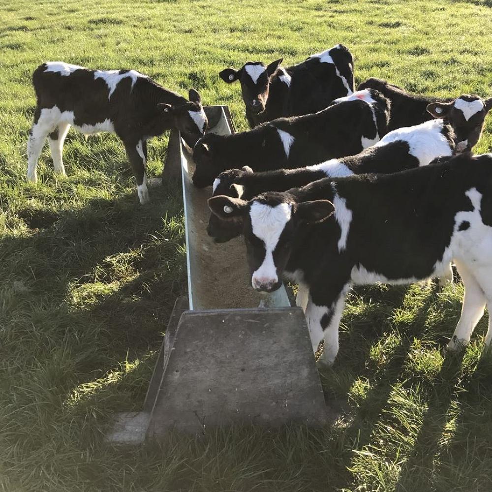 Fraser Farm — Newsletter #11, 2024