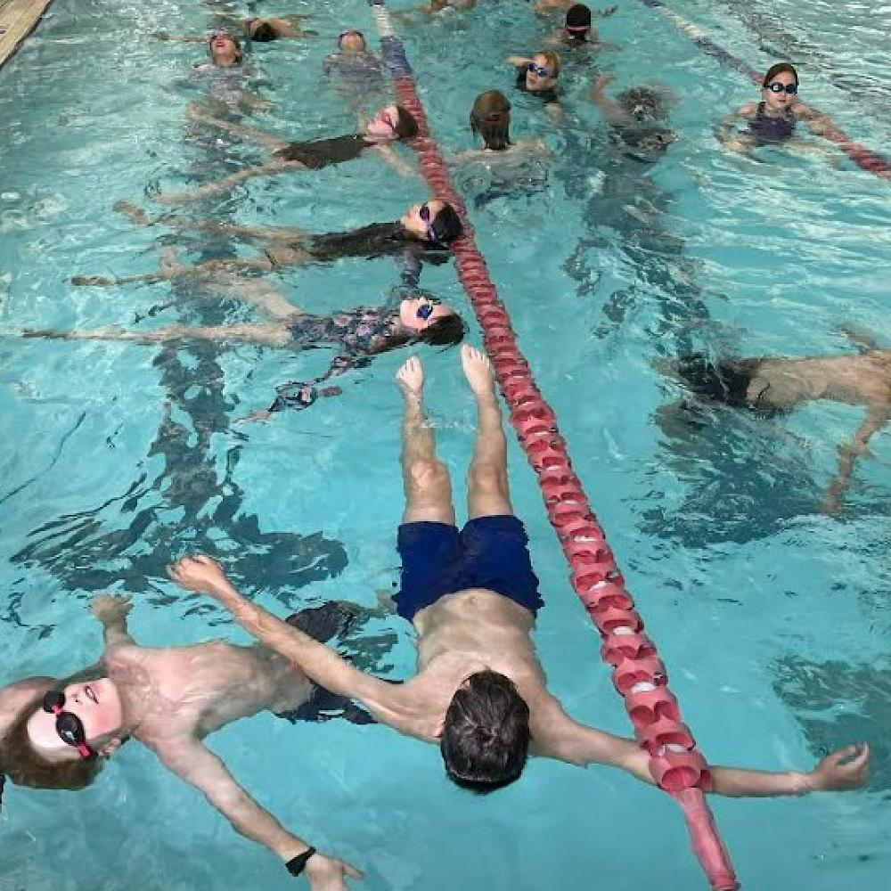 Newsletter - 17 October 2024