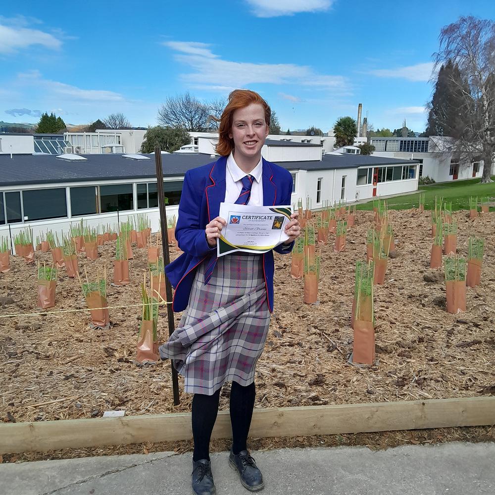 "Tiny Forest" Sign Design Winner