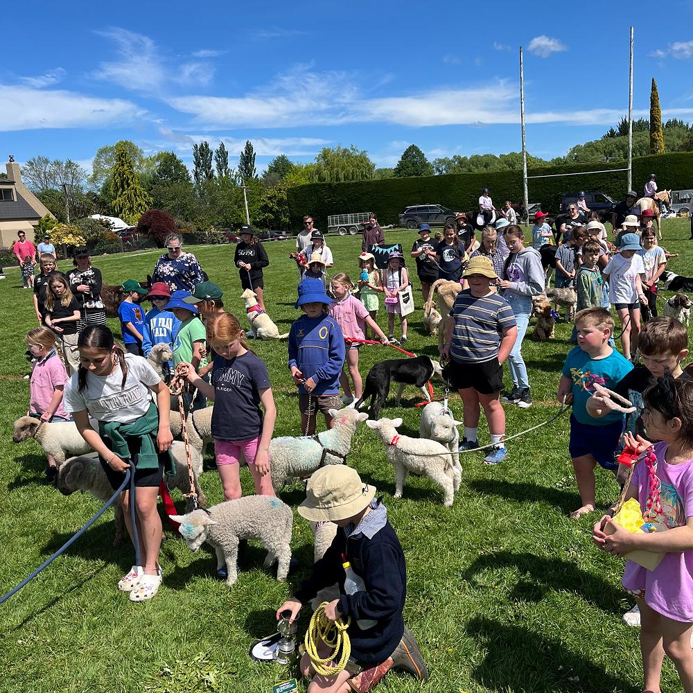 Term 4 Week 3 Newsletter