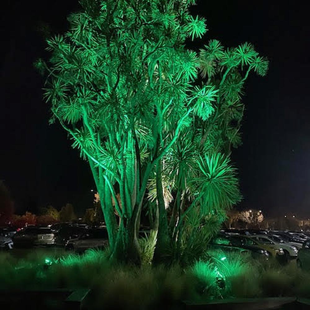 Community Notices — Term 2 Newsletter 2024