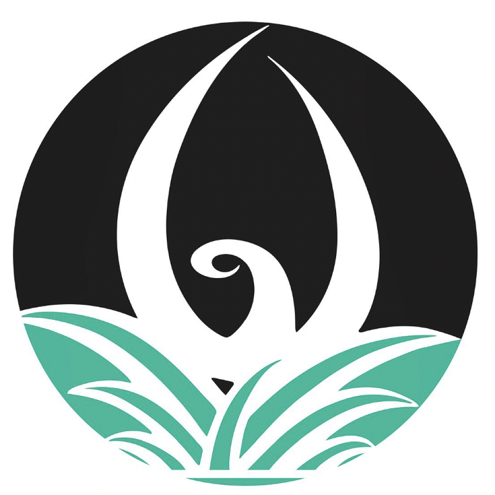 Waitaha Hub Update — Newsletter 2 - Friday 21st February 2025