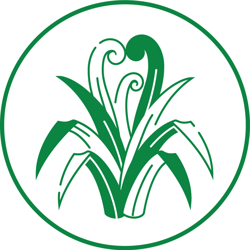 Reminder: Webinar - Te Rito: Know Me Before You Teach Me