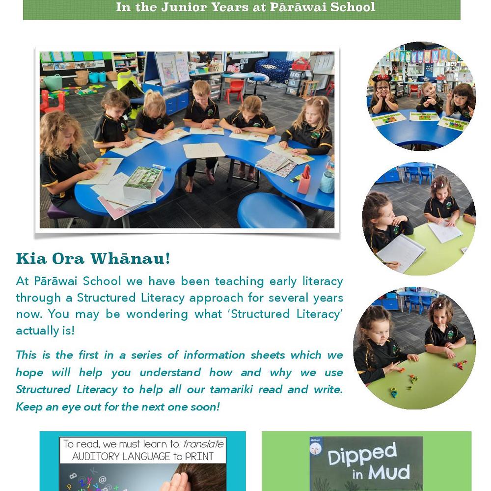 Structured Literacy Snippets!