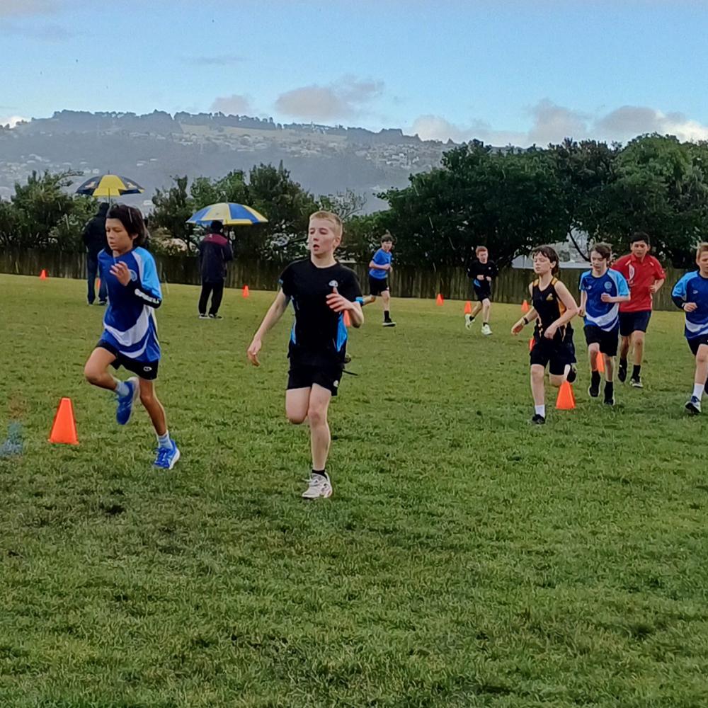 Term Four Sports Registrations