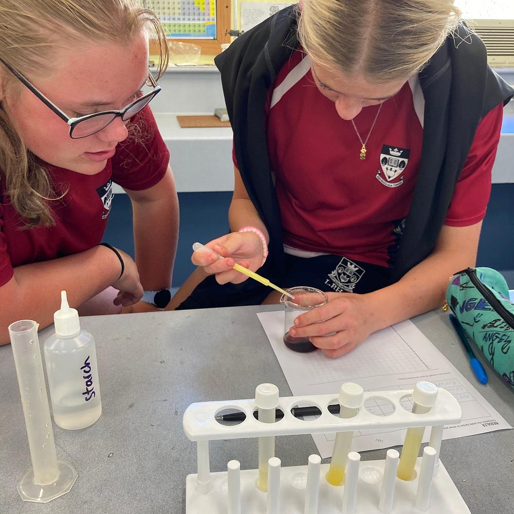 Year 10 Science
