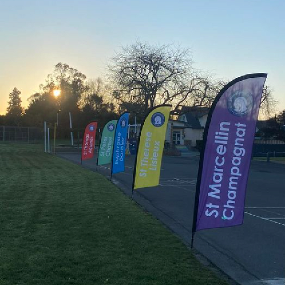 Office Information — Newsletter: Term 4, Week 4, 2024