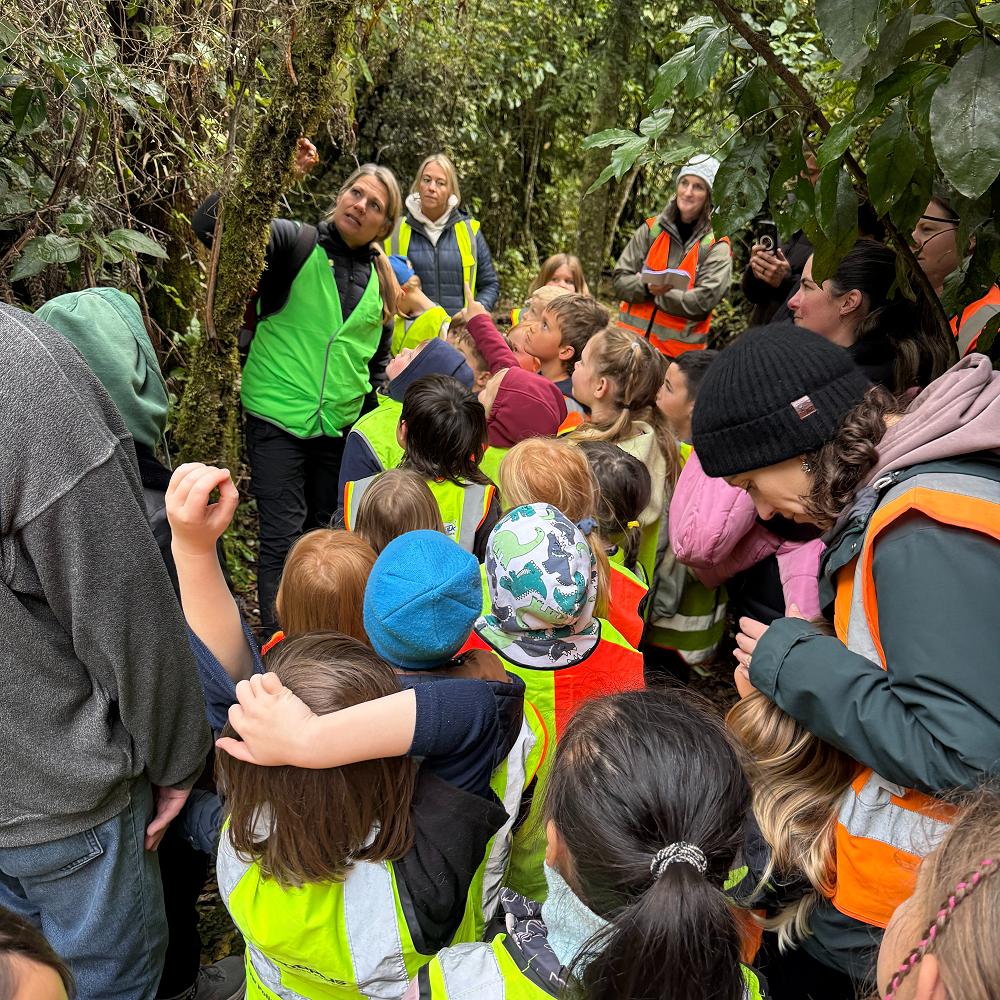 A Journey of Growth at Opepe Scenic Reserve
