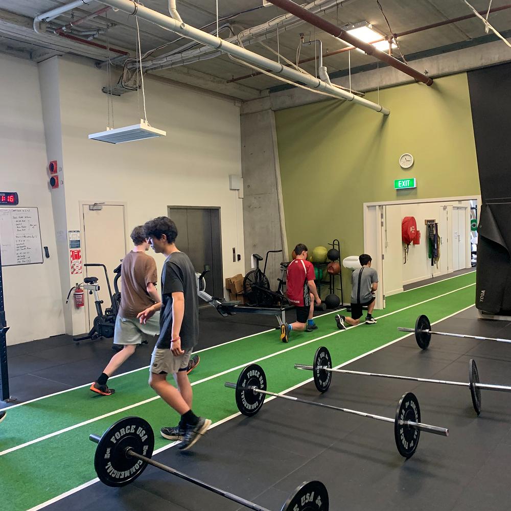 Gym athlete testing / Weighting lifting workshop