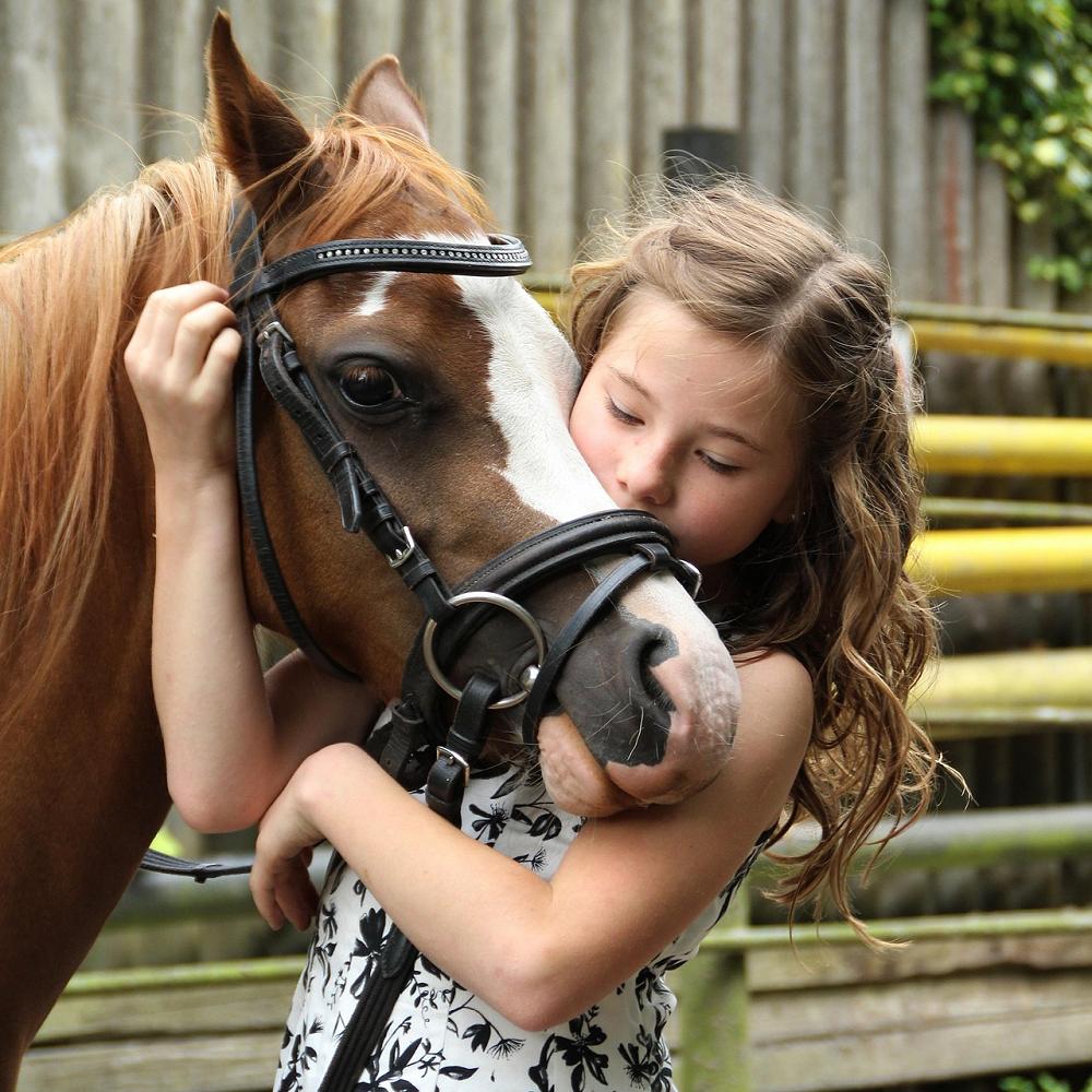 Therapeutic horse riding for children with ADHD — Newsletter - 3 April 2025