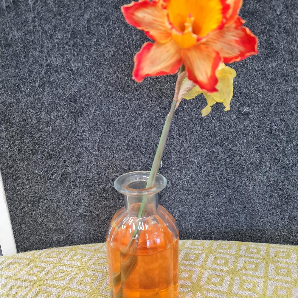 Room 3's Science Experiment