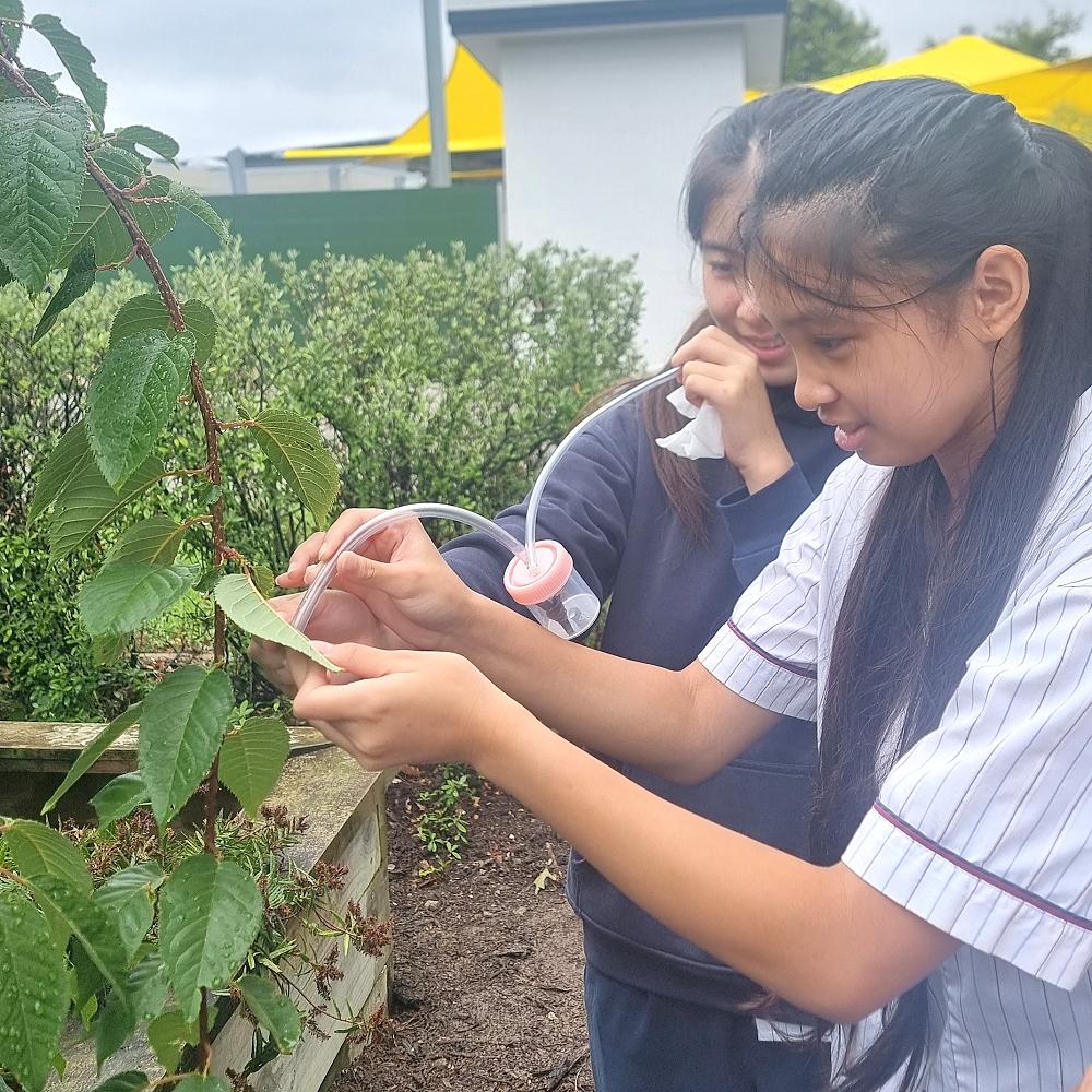 Science comes alive in our classrooms — AJHS eNewsletter: Week 5, Term 1