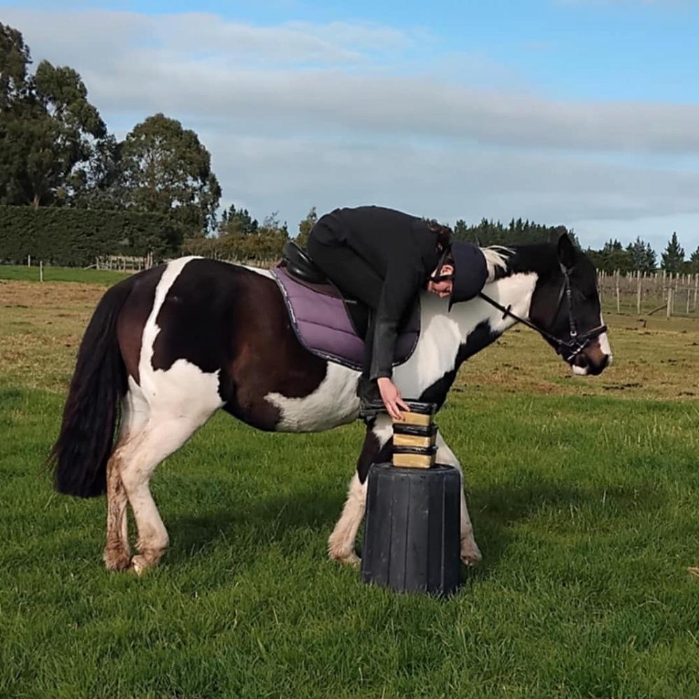 DHS Equestrian Programme Update — DHS Dispatch, 30 May 2025