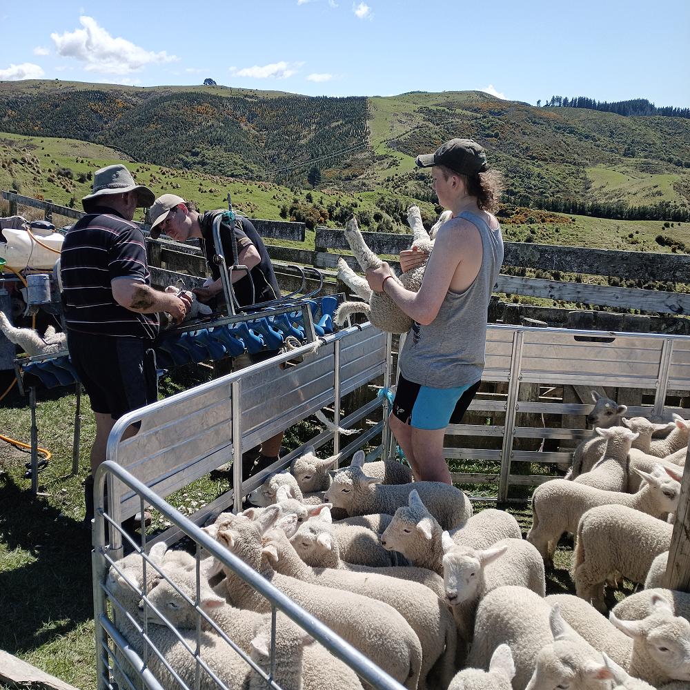 Farming Work Experience