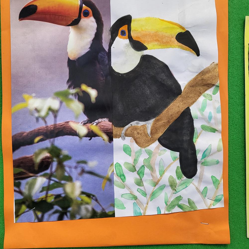Endangered Animals — Newsletter: Term 3 Week 9, Thursday 19 September 2024