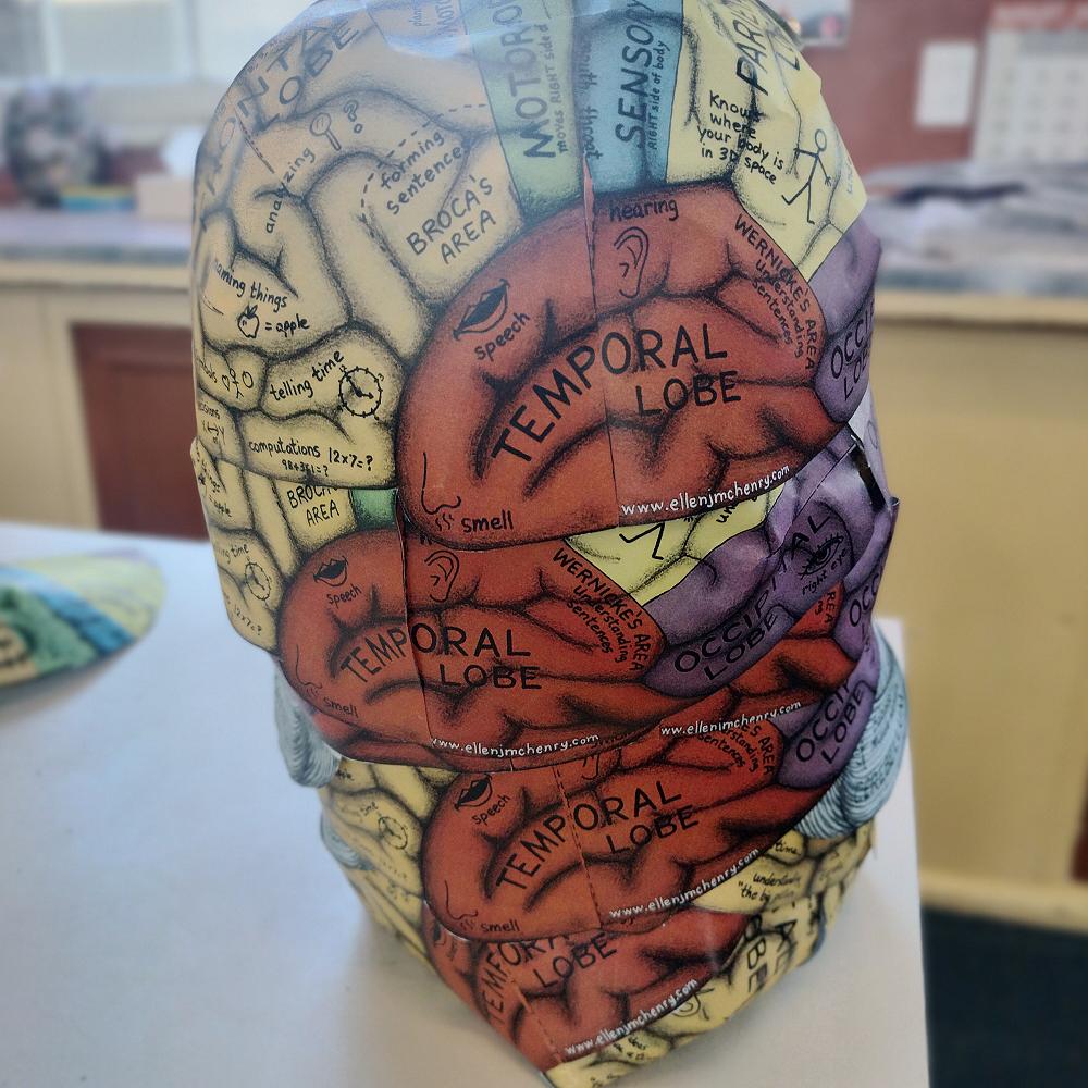 Brian Brain, idioms and parkour — Week 8, Term 3 Te Oraka Shirley ...