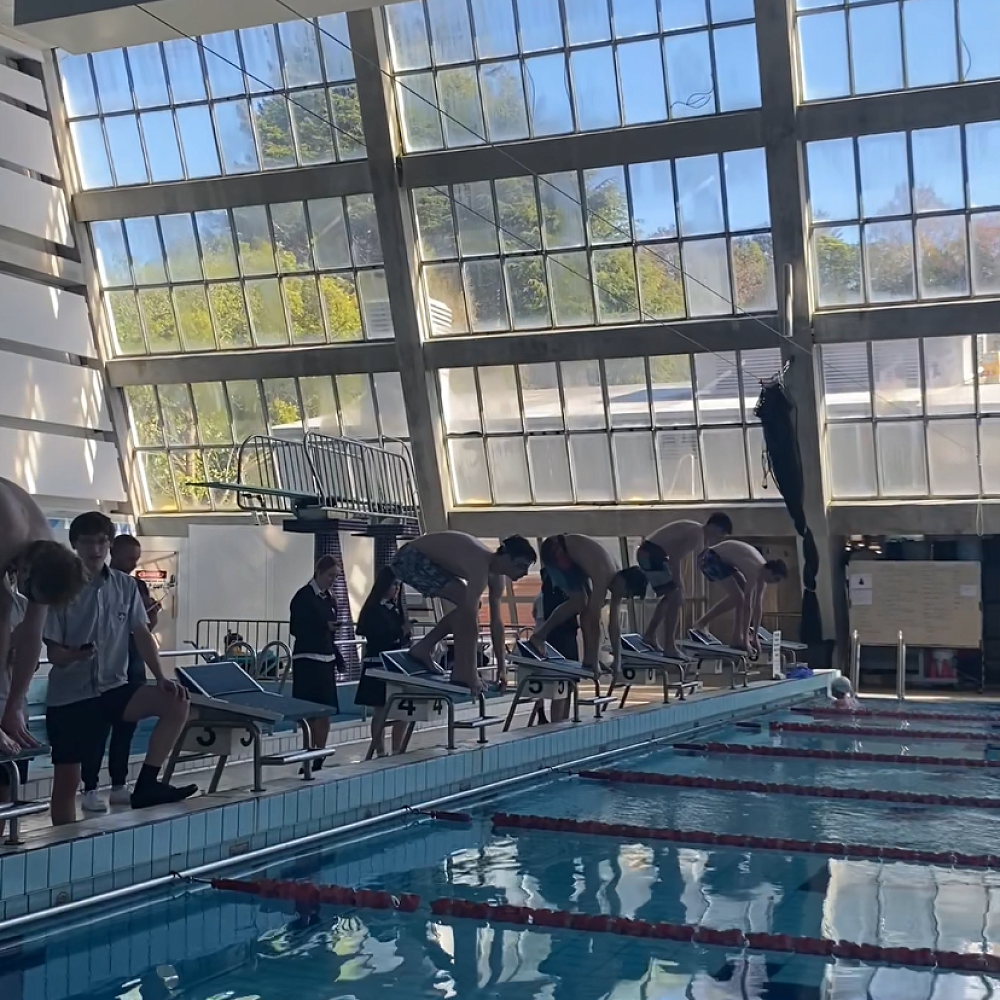 Swimming Sports Go Off with a Great Splash!