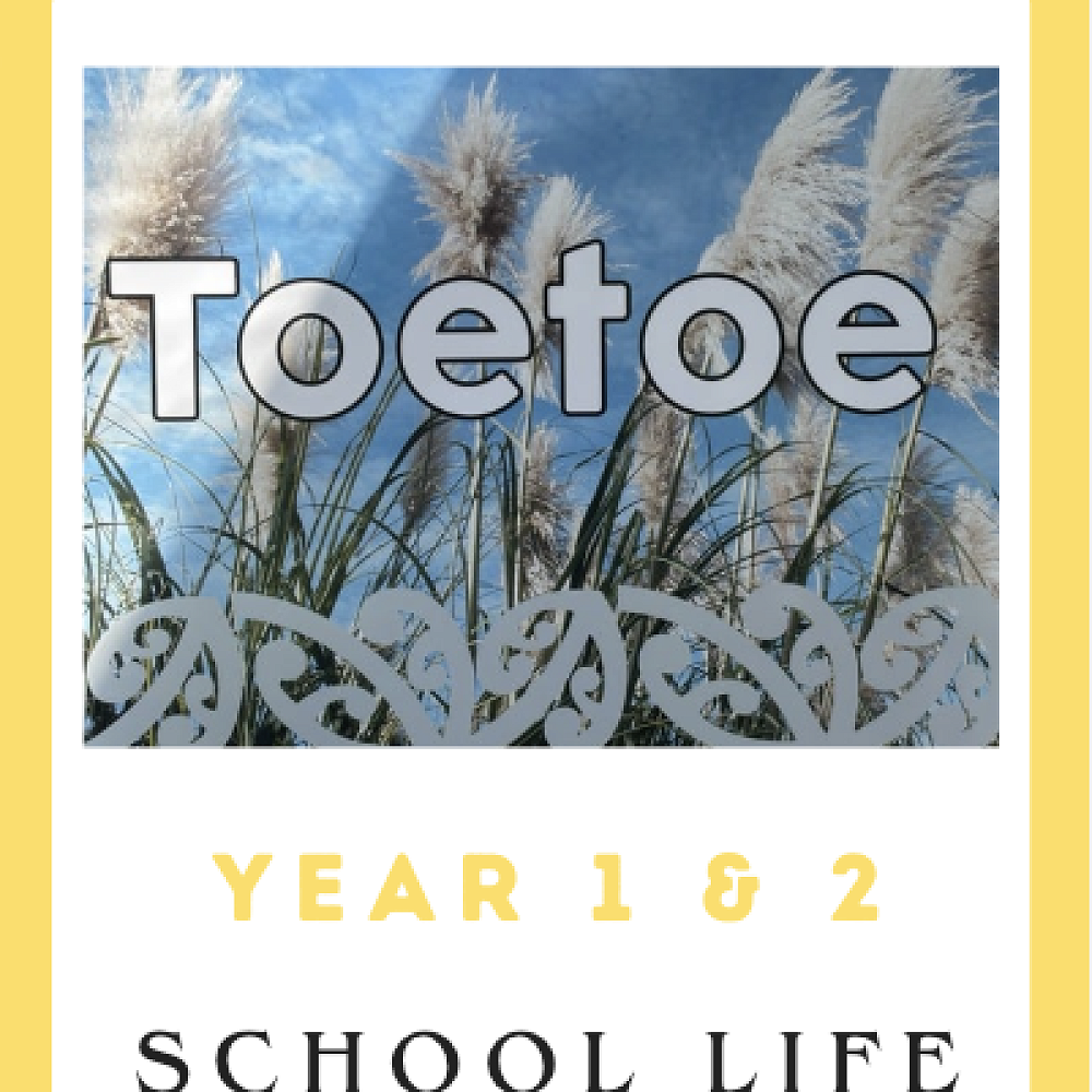 Year 1 - 2 (Toetoe) - School Life Scoop - Week 1 — Mairehau Primary ...