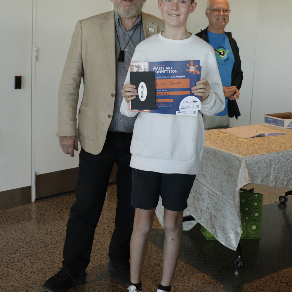 Lincoln Envirotown Waste Art Competition 2025 - Winner! — Kura ...