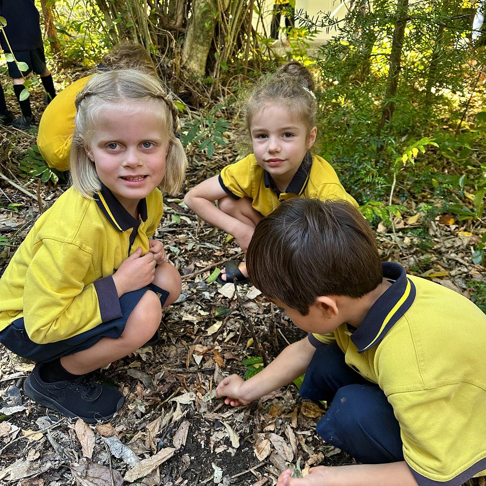 Whānau Harakeke's Nature Explorers: Deepening Our Lake Pupuke Inquiry!