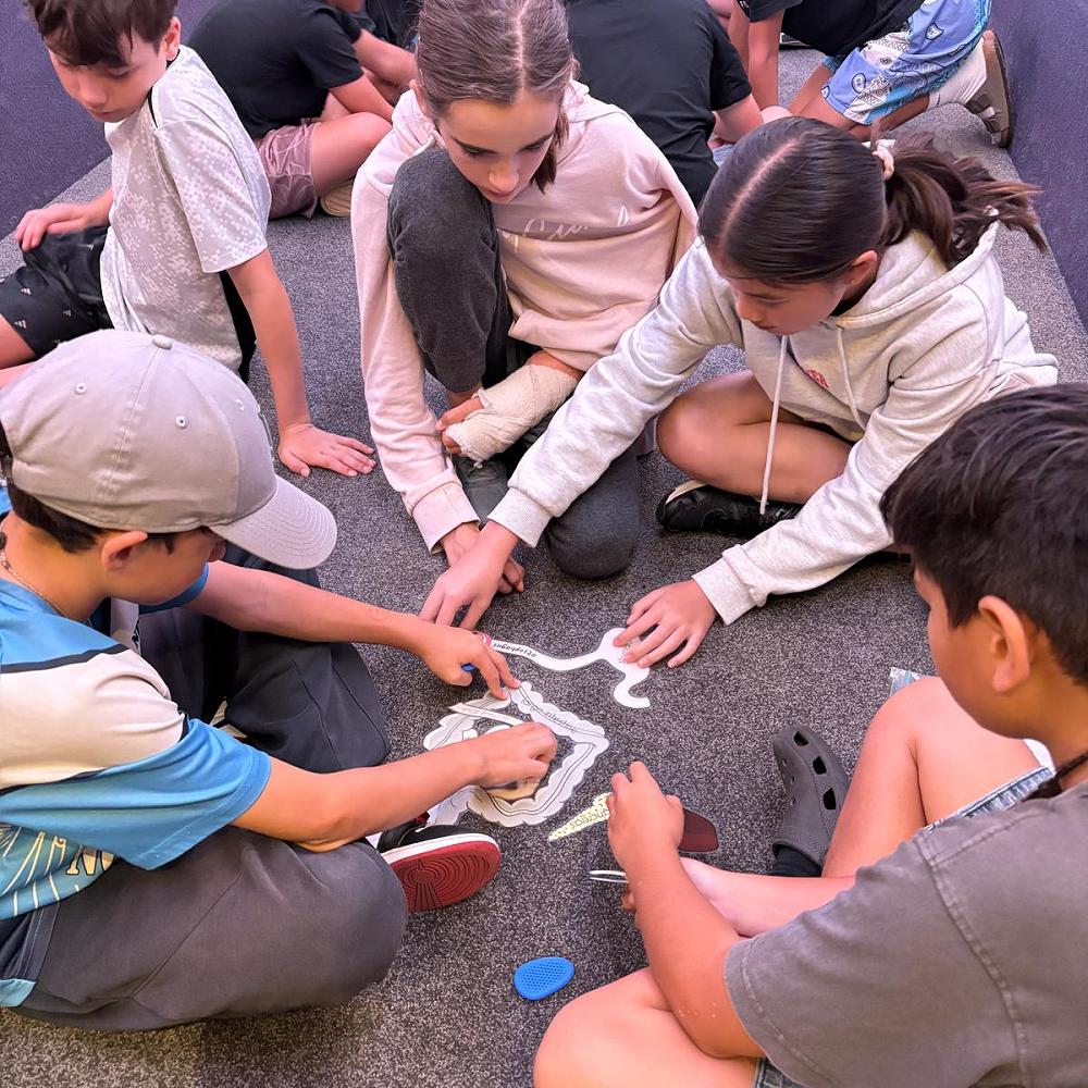 Life Ed and the Human Body - Toroa (Year 7-8) — Pānui - Newsletter ...