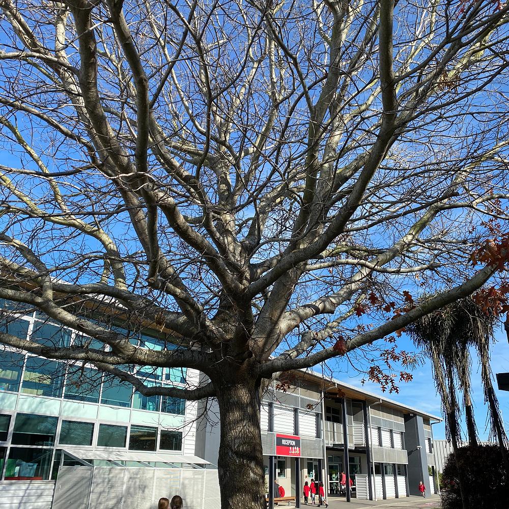 Halfway Through Term 2