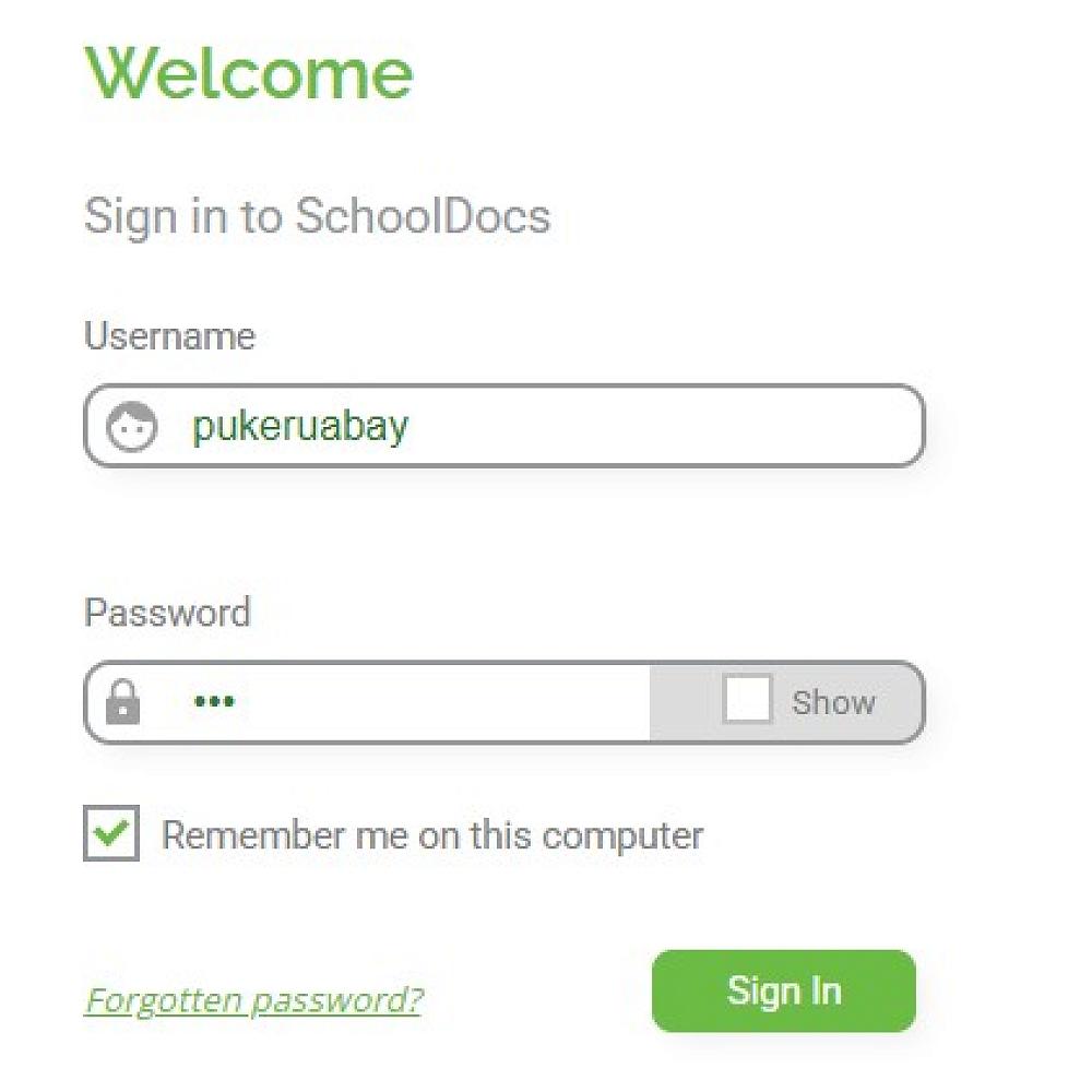 School Docs Policy Reviews