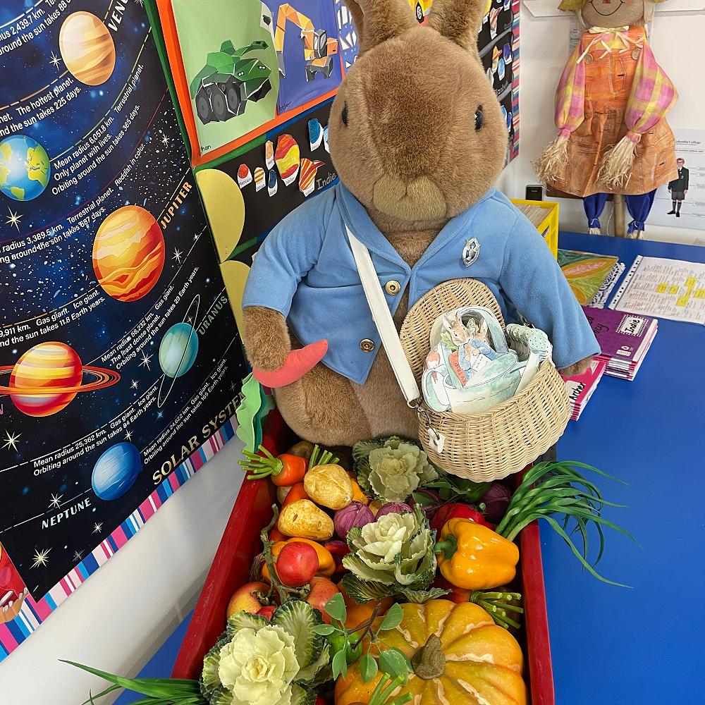 Peter Rabbit's Mystery Trip with our New Entrants — Columba College ...