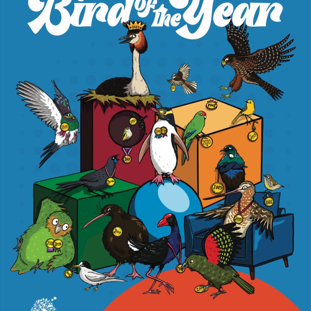 Bird of the Year (BOTY) 2025 is swooping in! — Newsletter Waru ...