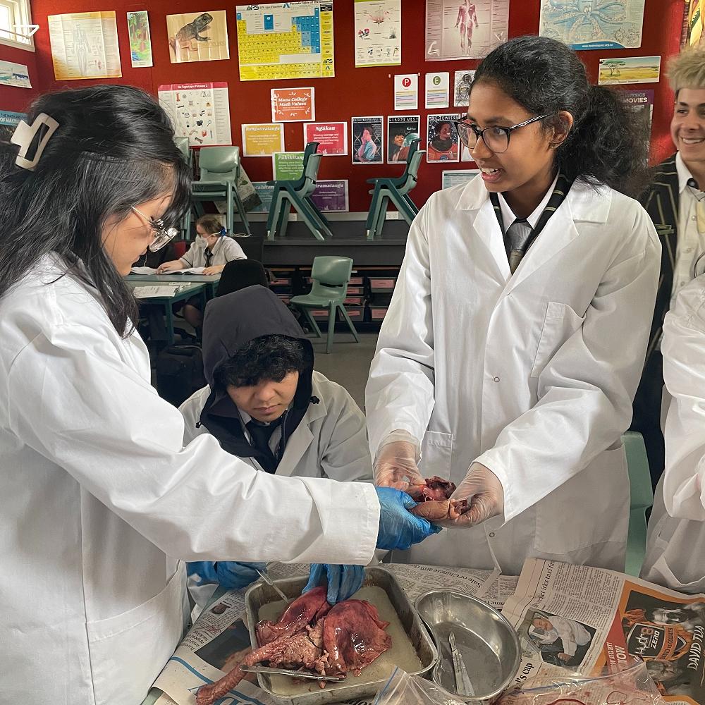 Science department update