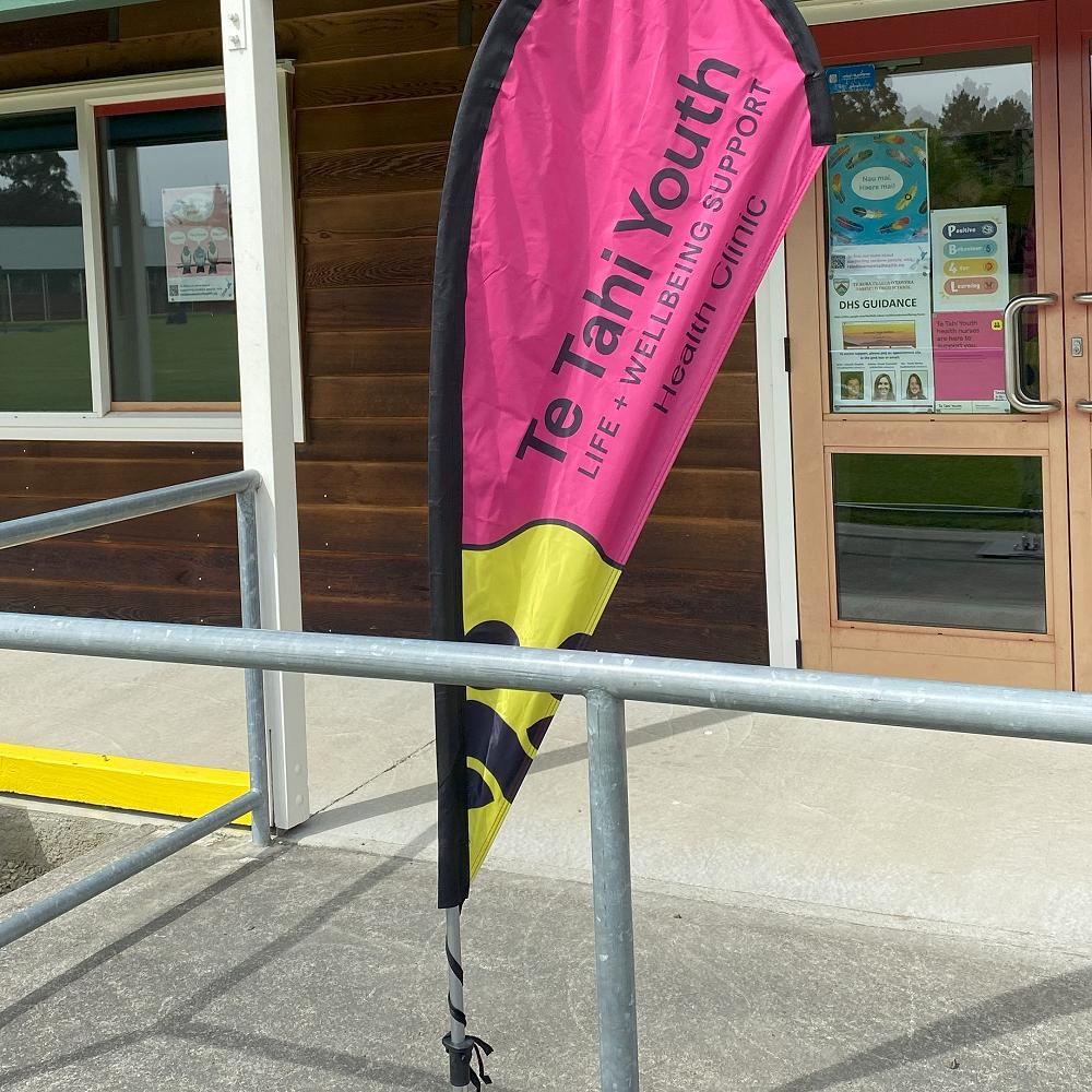 Nurse update — DHS Dispatch 29, November 2024