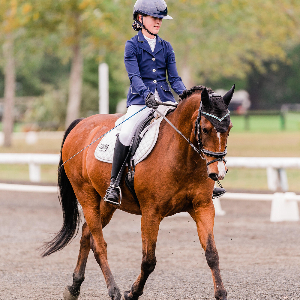 Equestrian Championship Success — Newsletter, 1 November 2024