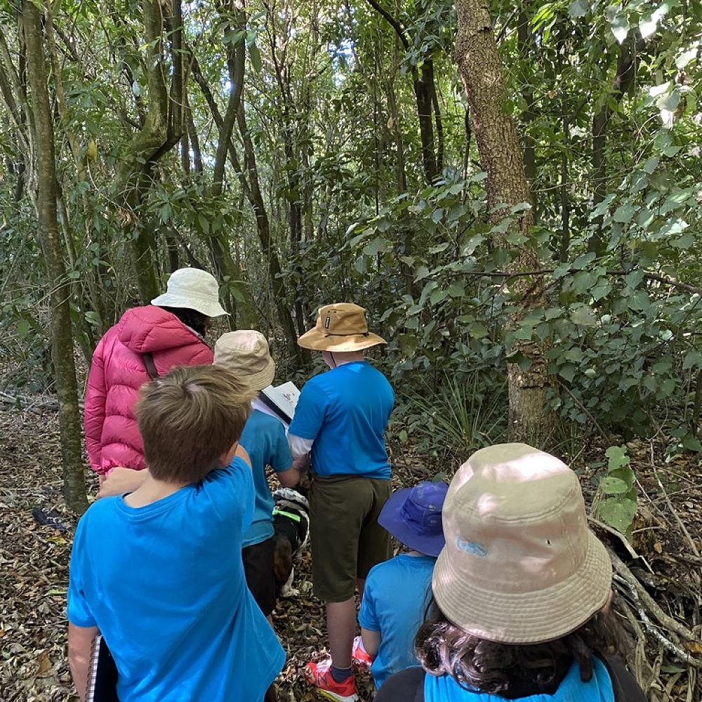 Update | Te 17 Pipiri | June 2024