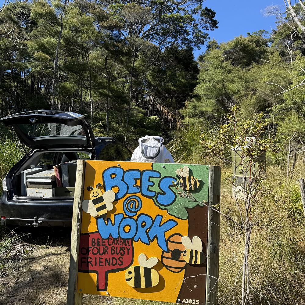 Bee team get an A+ Pass — Kōnini Newsletter - 6 March 2025