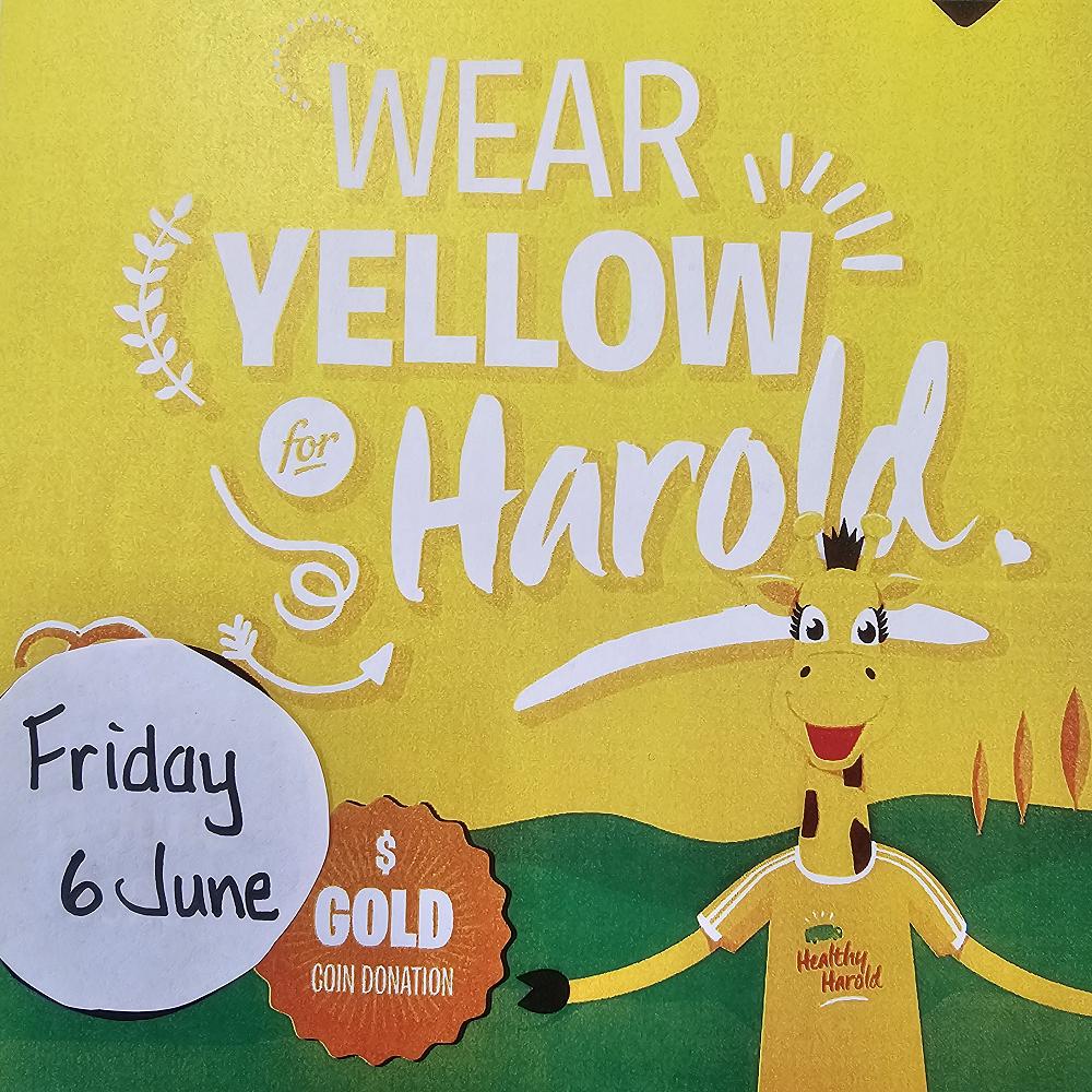 WEAR YELLOW FOR HAROLD - THIS FRIDAY 6 JUNE