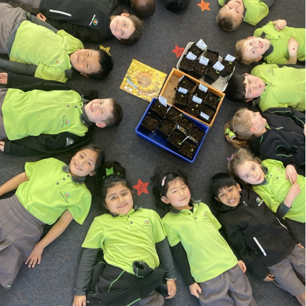 🪴Growing Things🪴