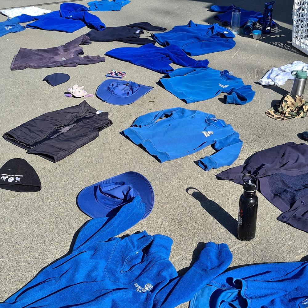 The Lost Property Box