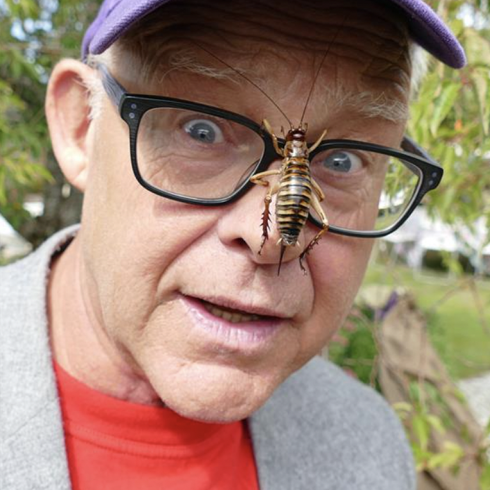 The Bug Man - Ruud Kleinpaste