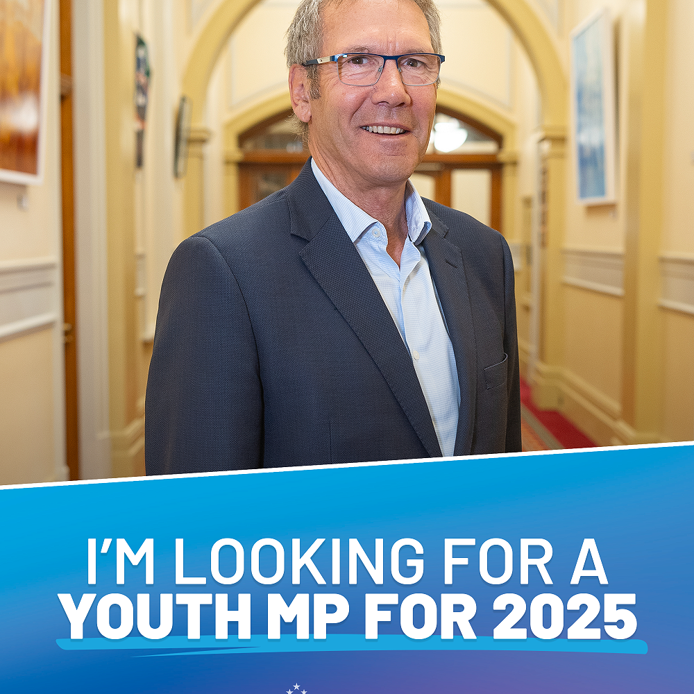 YOUTH MP & YOUTH PRESS GALLERY APPLICATIONS - DUE BY 12pm, 28 FEBRUARY.