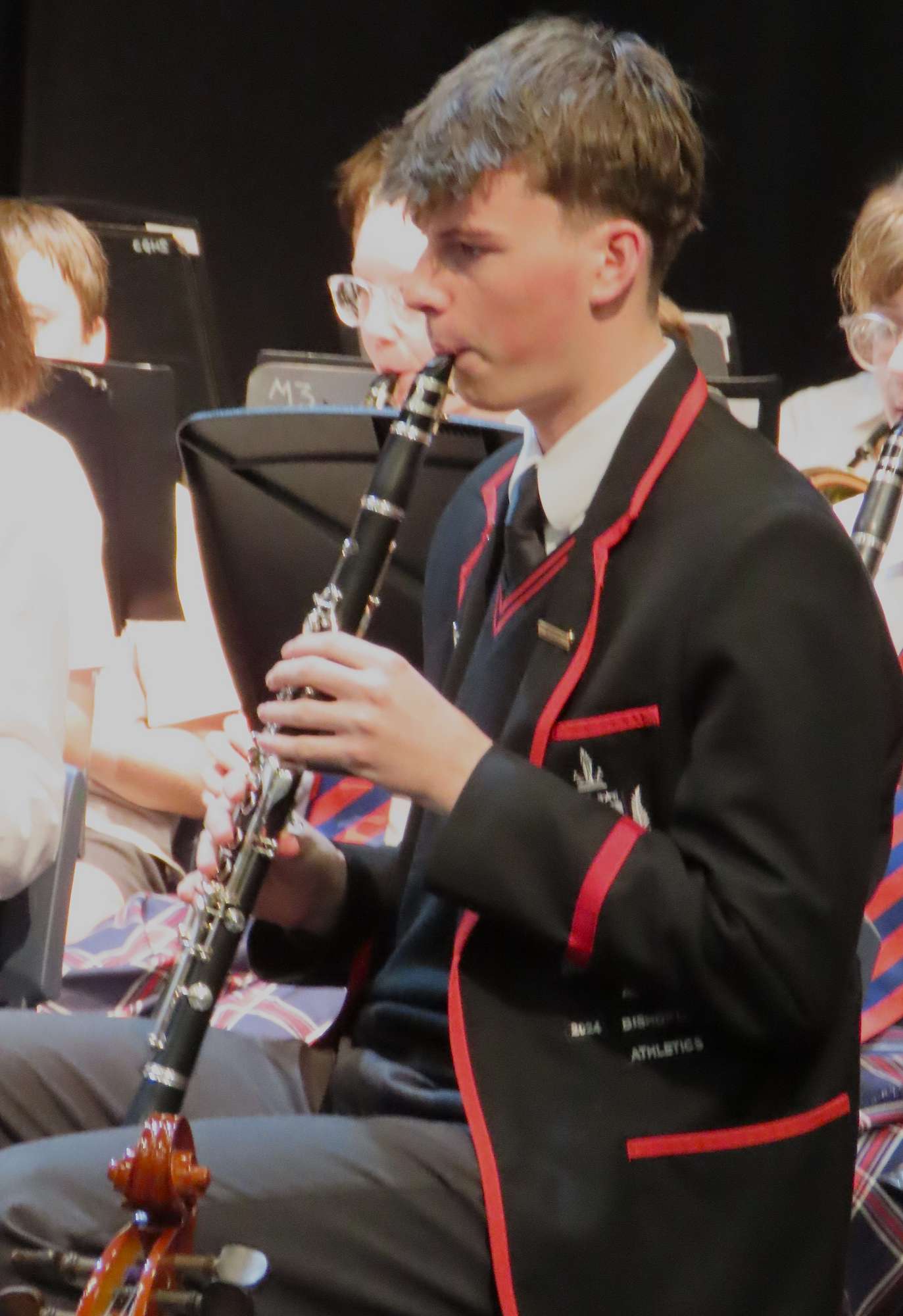 Taste of life in an orchestra