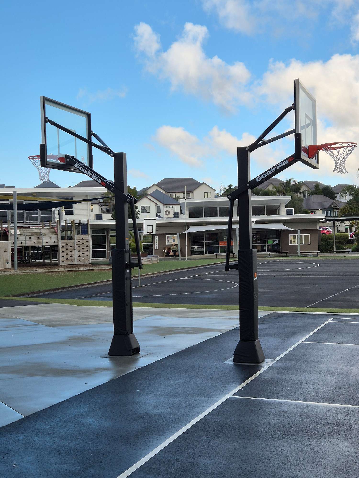Basketball and Netball Posts