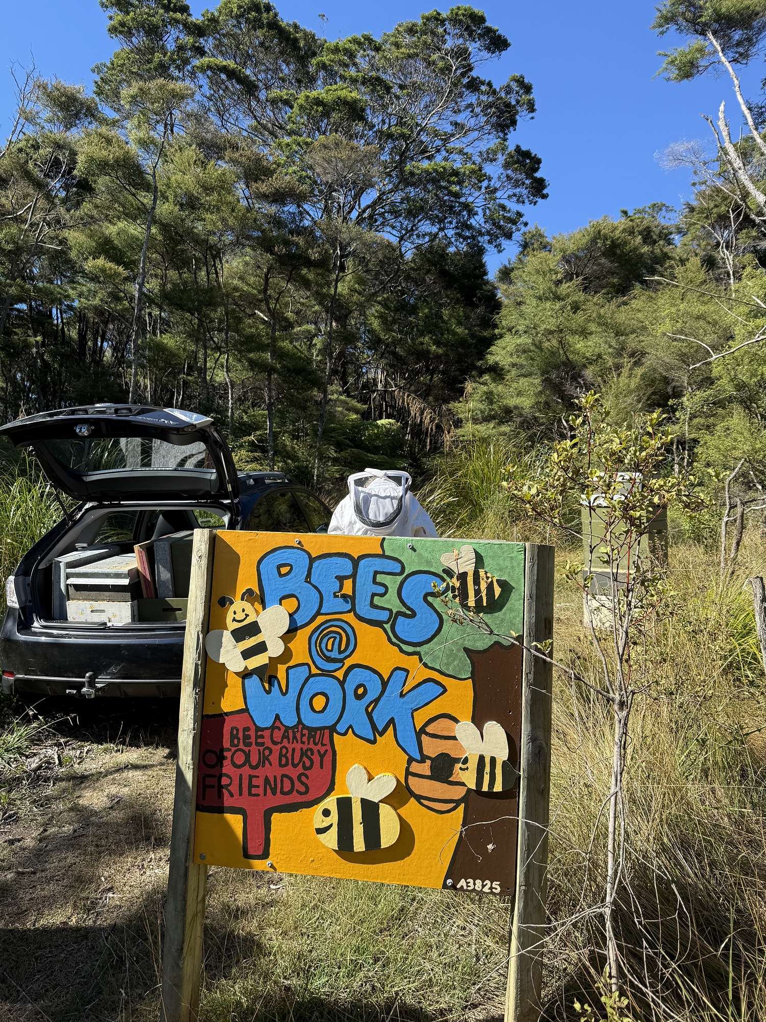 Bee team get an A+ Pass