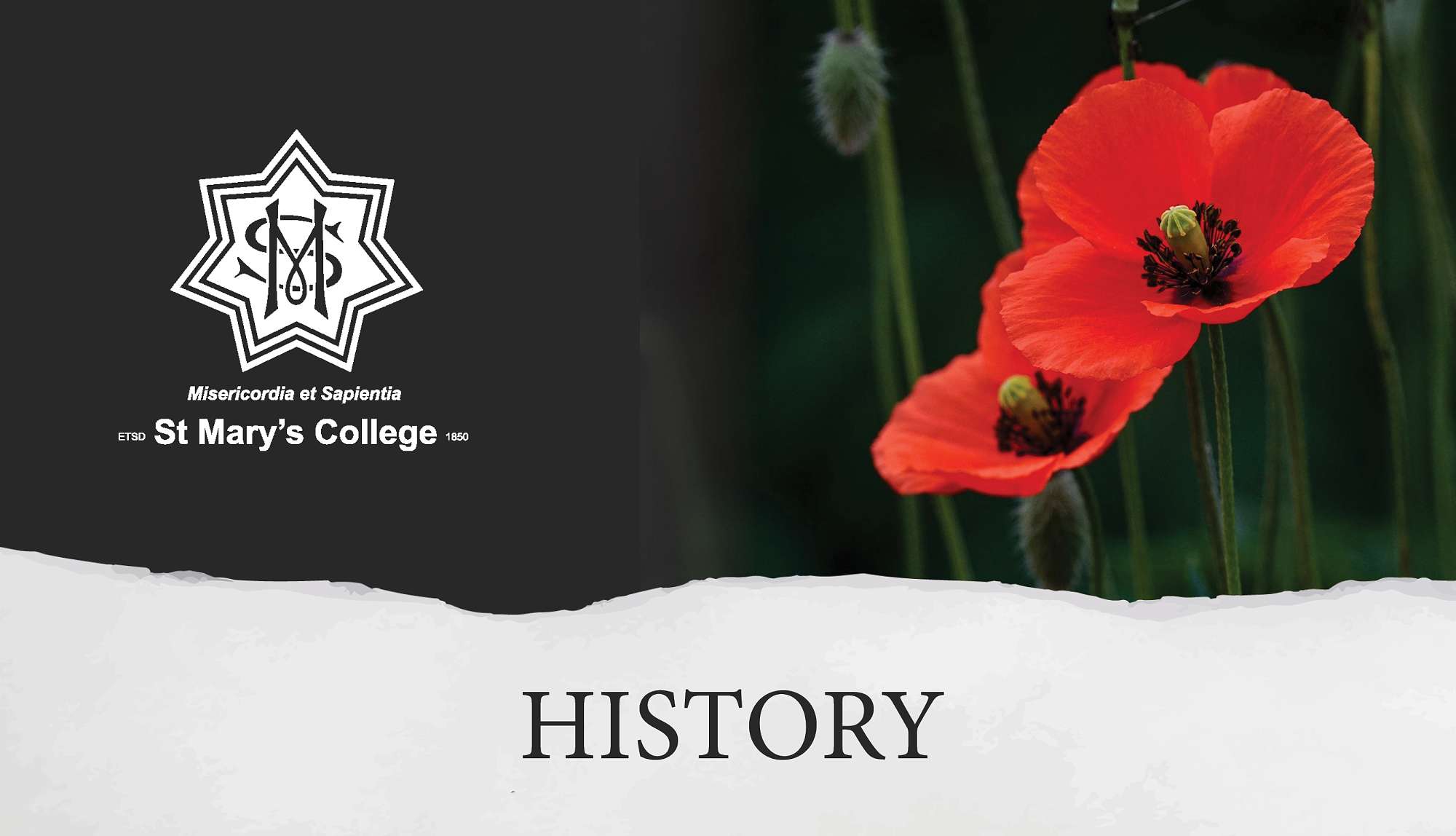 Year 11 History