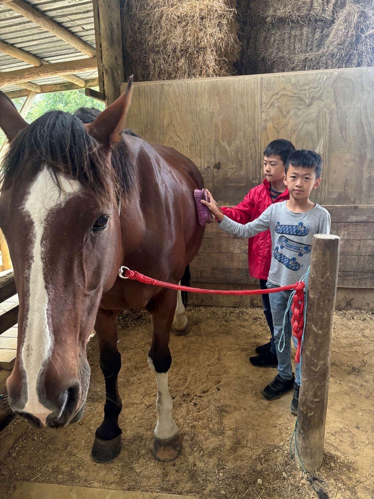 PŪTAHI AKORANGA: The Sonshine Ranch Trip - by Lincoln Xu Room 21